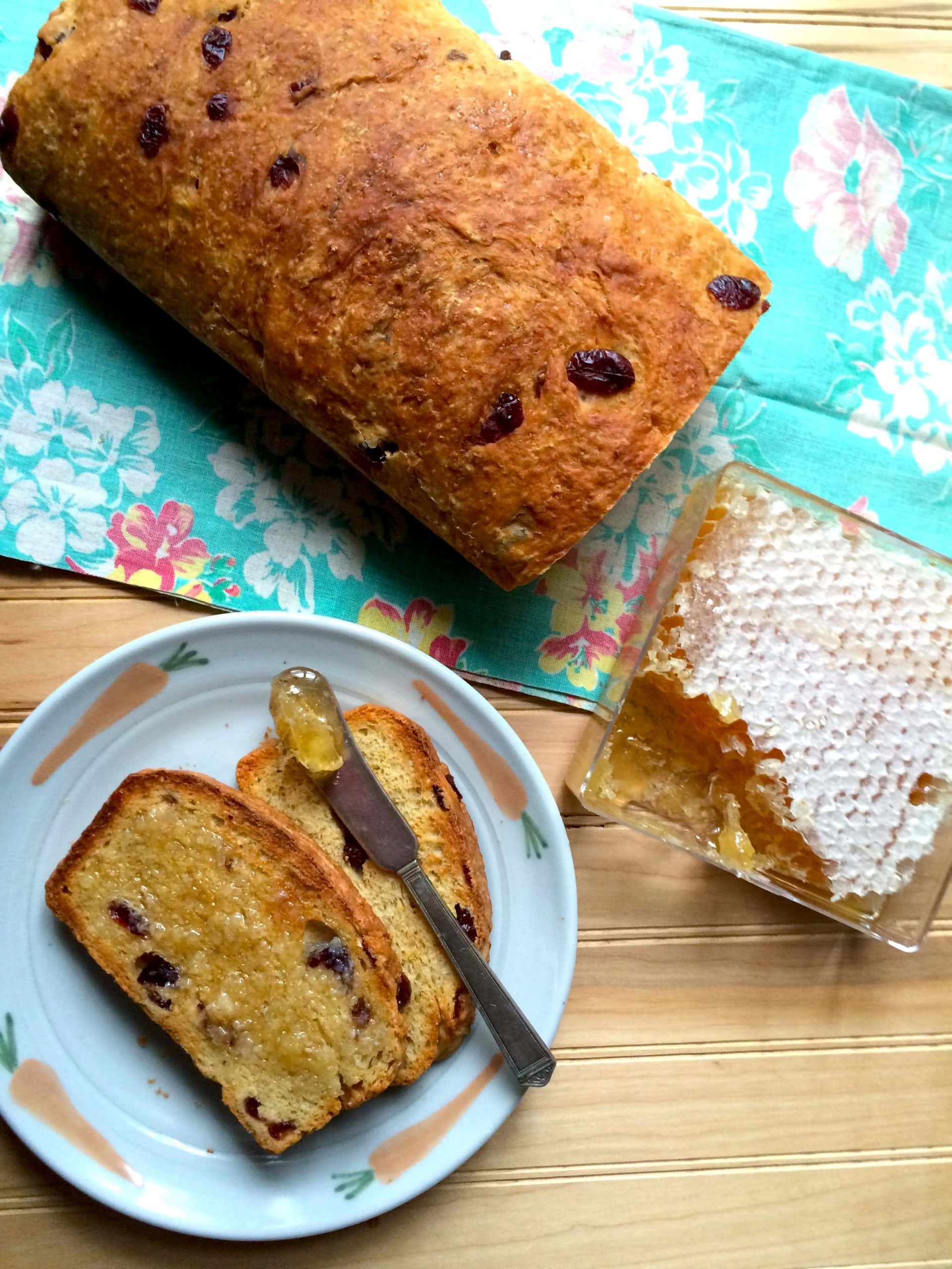 Loquat Jelly Recipe with Pectin - Stacy Lyn Harris