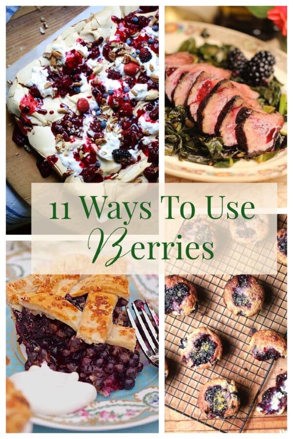11 Ways to Use Berries - Desserts and Main Dishes - Stacy Lyn Harris
