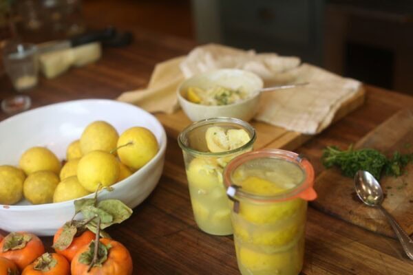 Preserved Lemons - How to Make and Use Them - Stacy Lyn Harris